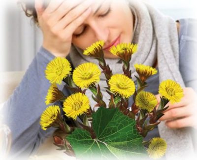 Мумие для желудка | Травник